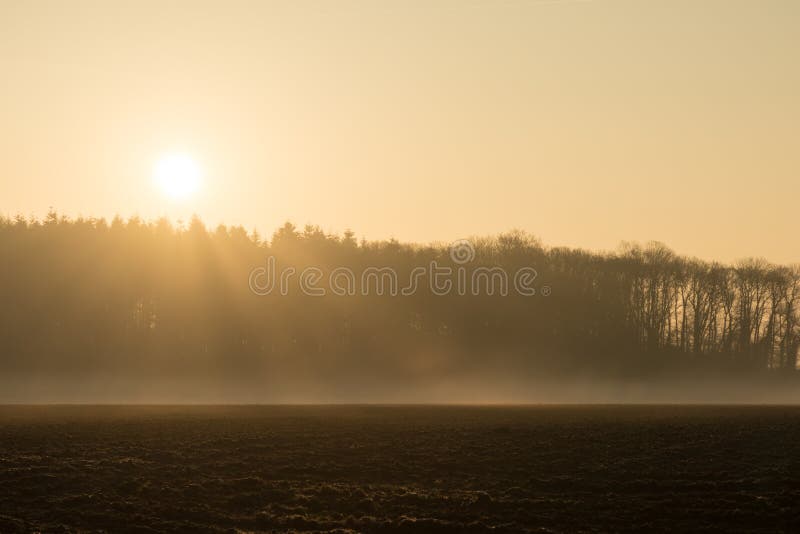Country Landscape in the Morning Stock Image - Image of natural ...