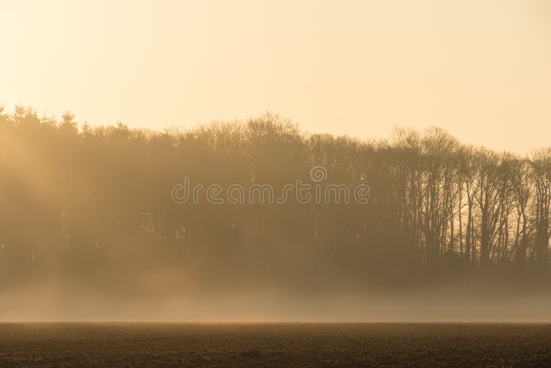 Country Landscape in the Morning Stock Photo - Image of sunset, dawn ...
