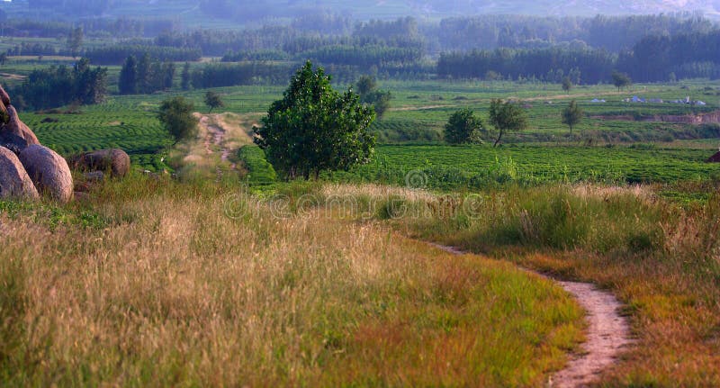 Country lane stock photo. Image of trees, landscapes - 10846168