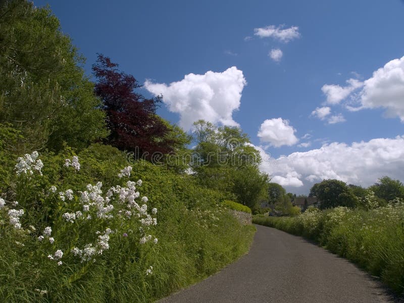 Country Lane stock photo. Image of country, hedge, landscape - 135468