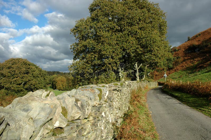 Country Lane stock photo. Image of country, road, wales - 1492508