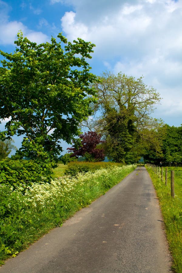 Country Lane stock image. Image of lane, thoroughfare - 16381675