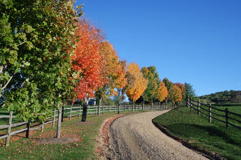 Country Driveway stock image. Image of road, wooden, scenery - 3236917