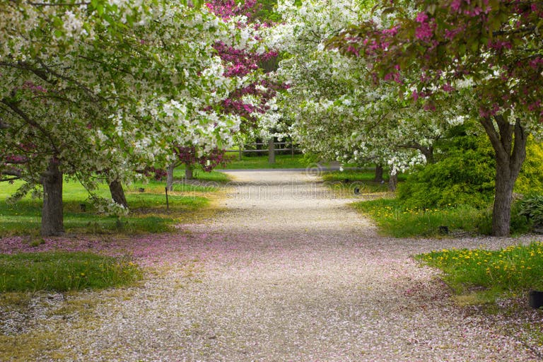 31,434 Country Lane Background Stock Photos - Free & Royalty-Free Stock ...