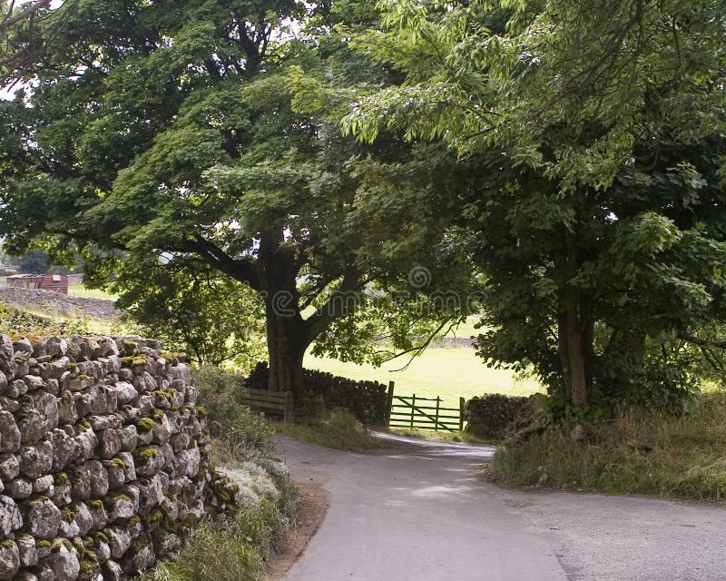 Country lane stock image. Image of grass, yorkshire, fields - 219911