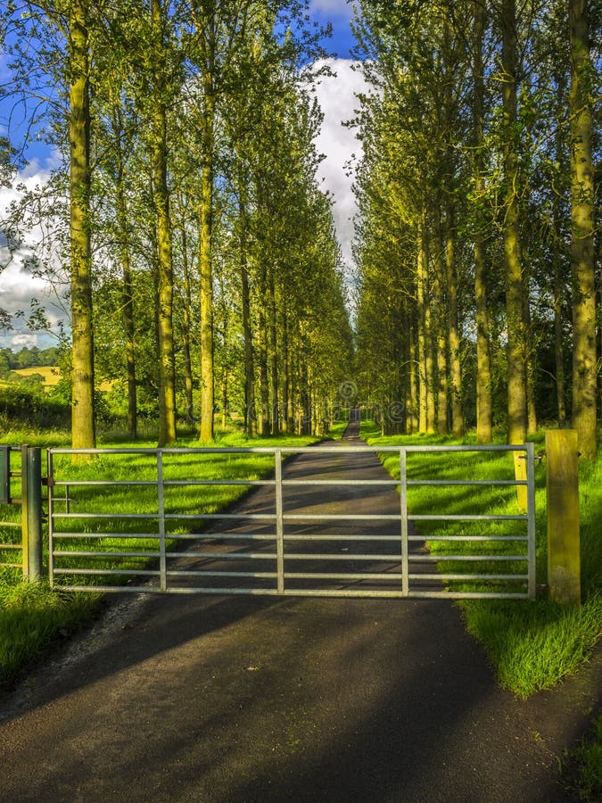 4+ Entry lane highway Free Stock Photos - StockFreeImages