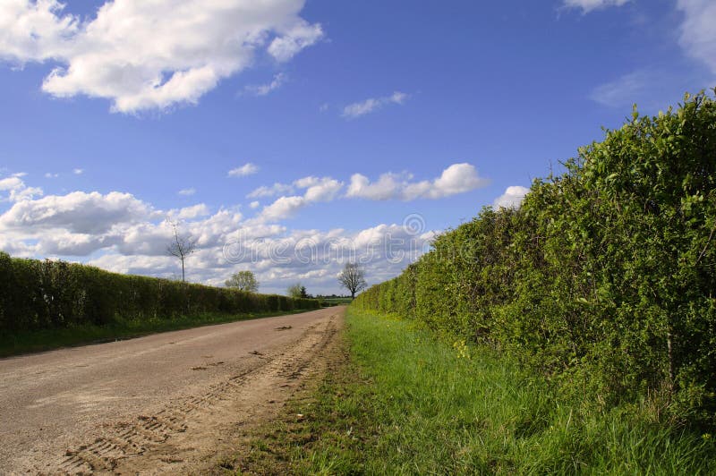 Country Lane stock photo. Image of verge, white, road - 29486620