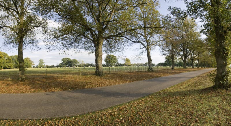 Country lane stock photo. Image of heart, road, distance - 3423880