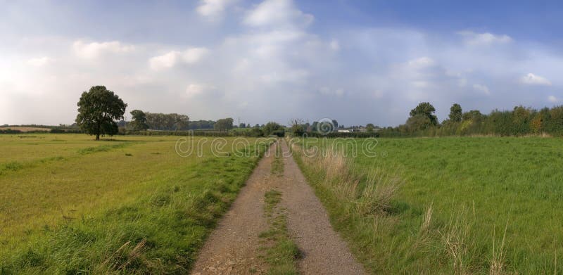 Country lane stock photo. Image of morning, landscape - 3541800