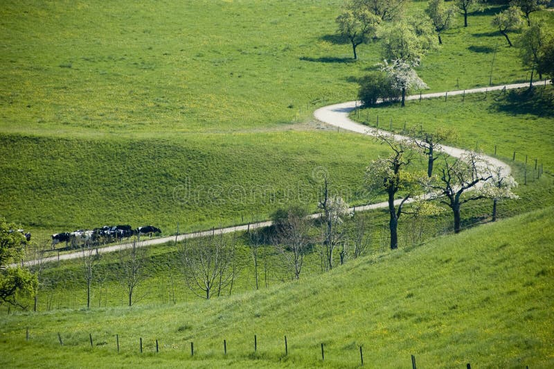 Country lane stock image. Image of switzerland, spring - 7635989