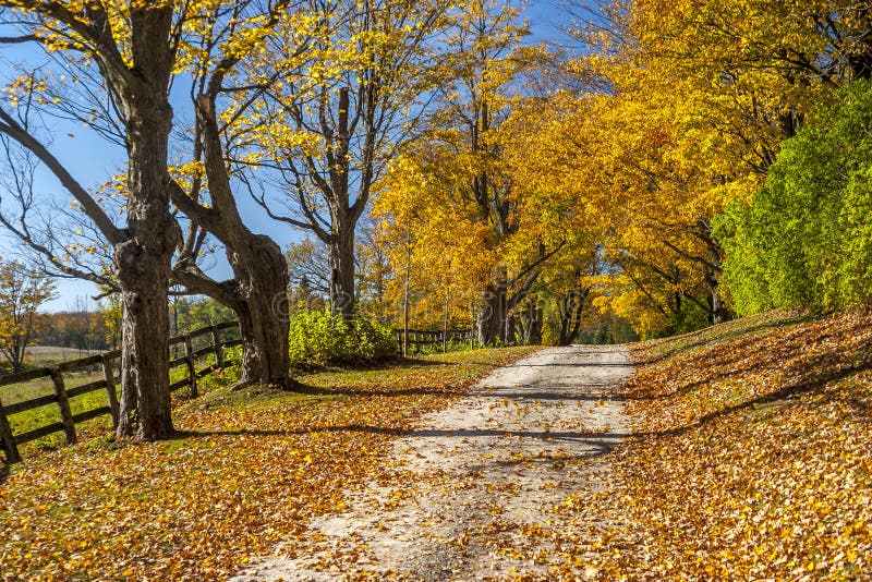 Peaceful autumn lane stock photo. Image of lane, background - 11462912