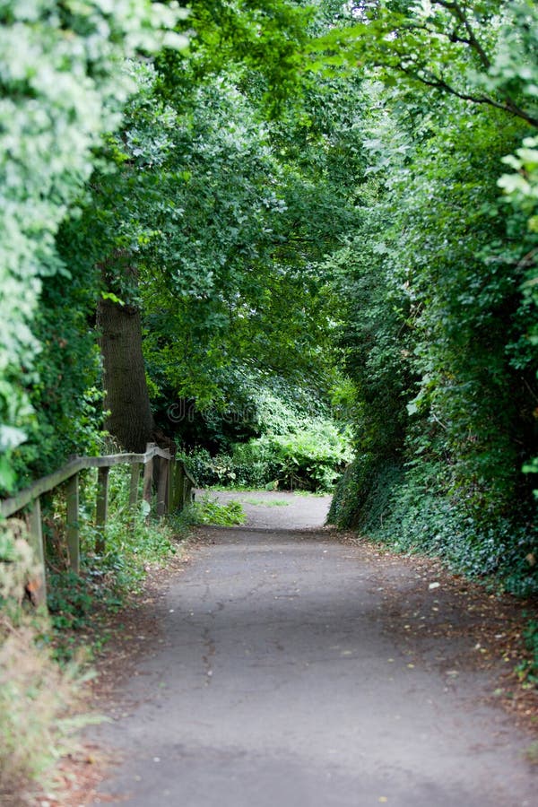 Country Lane in British Countryside Stock Photo - Image of england ...