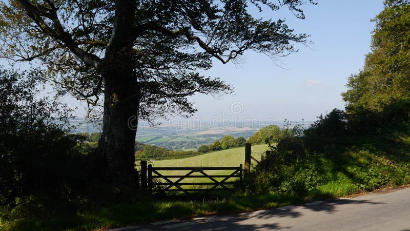 A country lane in England stock photo. Image of south - 66208894