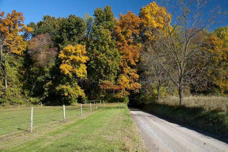 Country Lane and Field in the Fall Stock Photo - Image of field, meadow ...