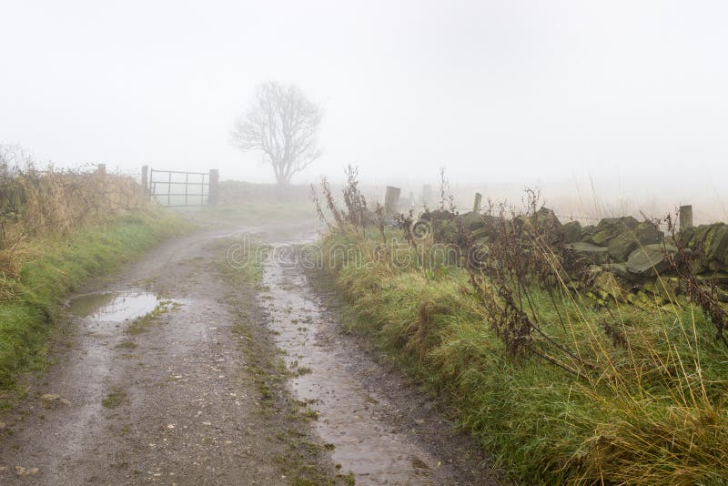 Country lane fog stock image. Image of grass, grey, countryside - 50079879