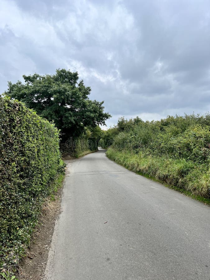 Country Lane stock photo. Image of highways, country - 290639744