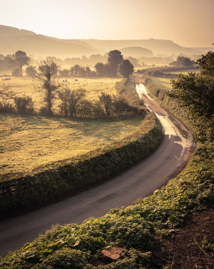 Country Lane through Autumn Woodland Stock Image - Image of scene, mist ...