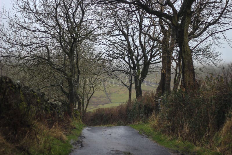 Country Lane stock image. Image of pendle, lane, foothills - 29956689