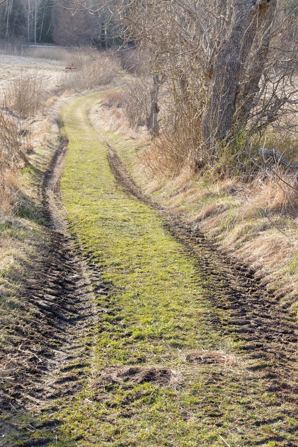 Country Lane, Tracks from Tractor Stock Image - Image of season, beauty ...