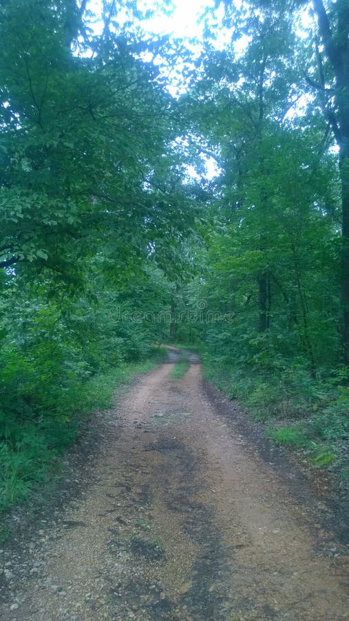 Shaded roads stock image. Image of skies, lanes, trees - 11746873