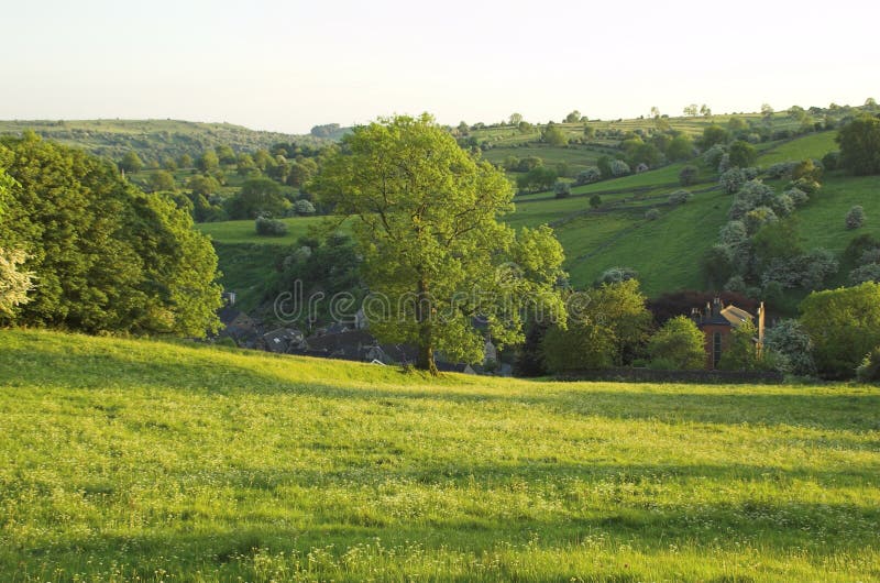Country life stock photo. Image of trees, village, rolling - 915874