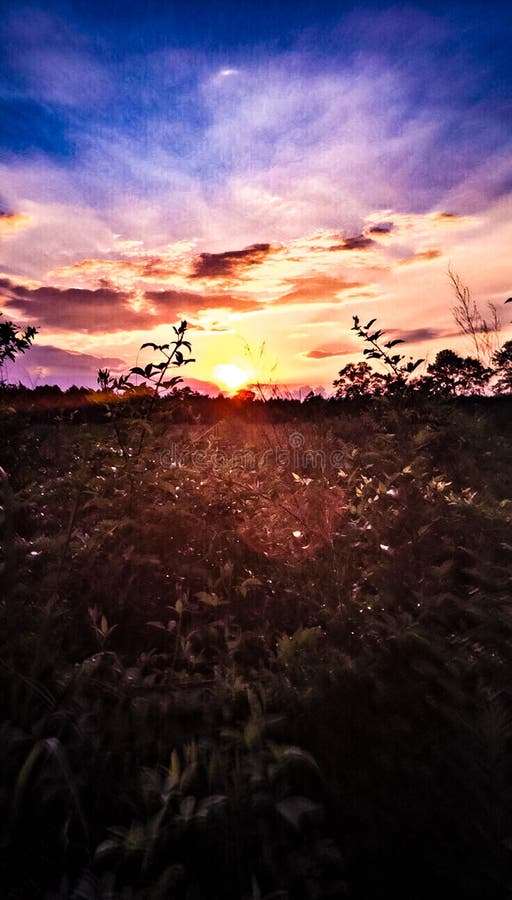 Country Life is the Best Life! Stock Image - Image of life, country ...