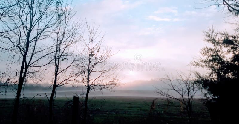 Country living fields sun stock photo. Image of morning - 205073200
