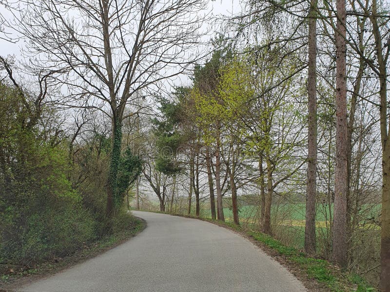 A Country Narrow, Minor Road, Winding through a Spring Landscape Stock ...