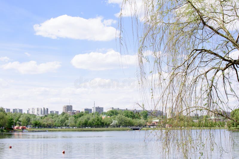 Country Park with a Beautiful Landscape and a Lake Stock Photo - Image ...