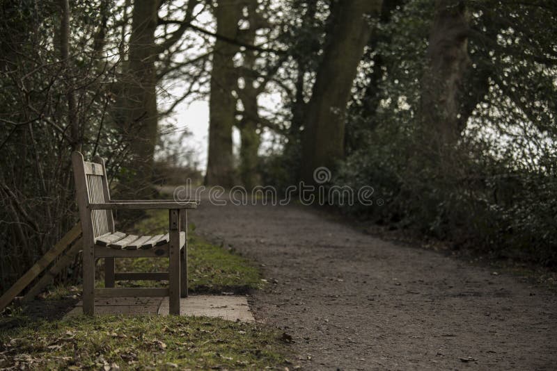 Country park bench. stock image. Image of quiet, path - 86997363