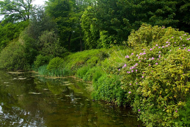 Country Park stock photo. Image of country, grass, grassland - 33641320