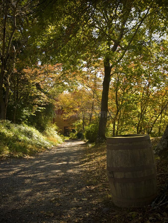 Country Path stock photo. Image of leaves, landscape - 11695086