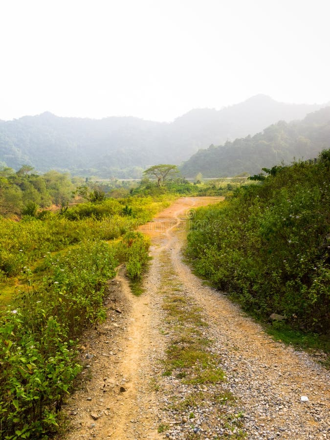 Country path stock photo. Image of wilderness, thanh - 18057146