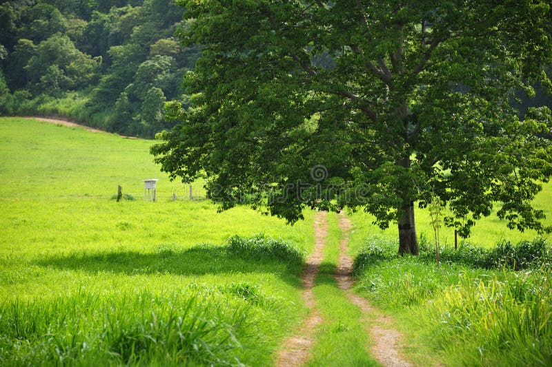 Country path stock image. Image of direction, path, country - 23382905