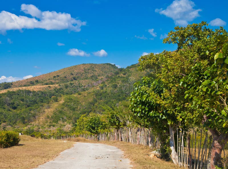 Country path stock image. Image of pathway, country, green - 28772949