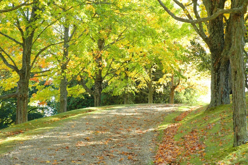 Quiet autumn day stock image. Image of foliage, colorful - 262443
