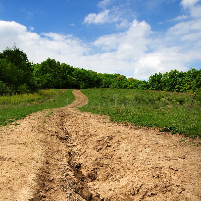 Country Path stock image. Image of trees, color, country - 5054639