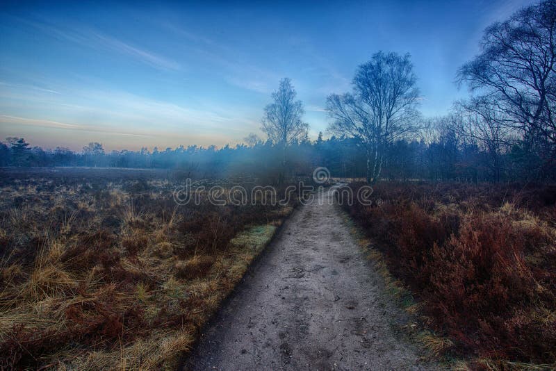 Sunrise through the forest stock image. Image of celebration - 115780619