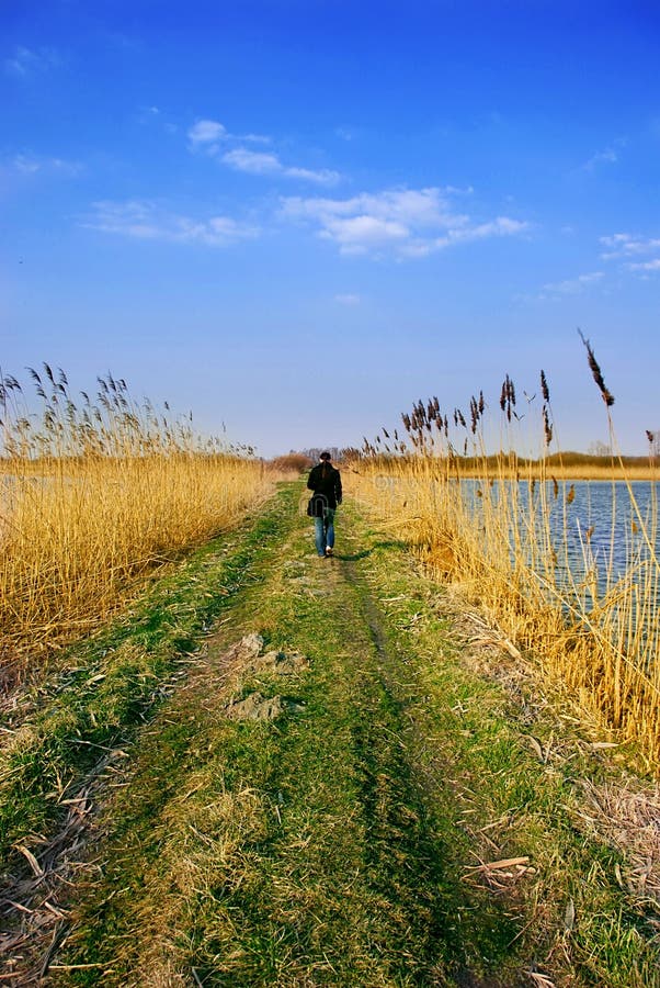 Country path in daylight stock image. Image of trek, lake - 2157595