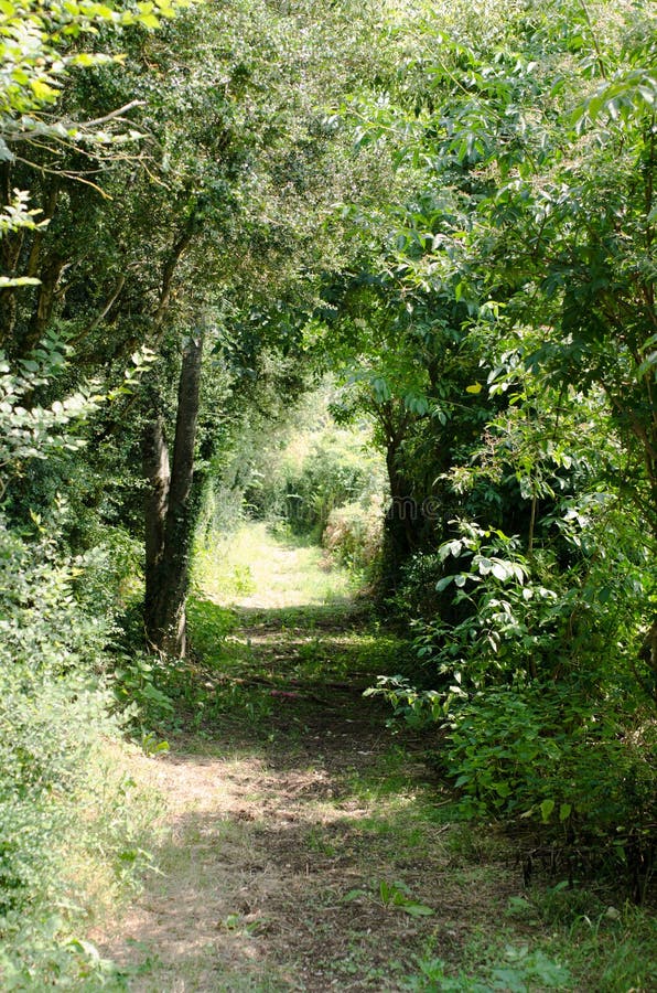 Country path stock image. Image of footpath, rural, walk - 60285627