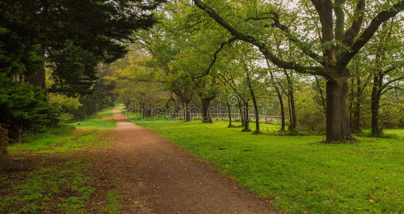Country Path stock photo. Image of track, landscape, lonely - 40825078