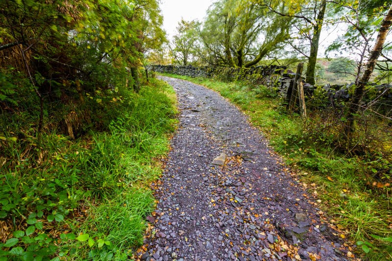 Country Path Made of Slate Chippings Stock Photo - Image of slate, wood ...