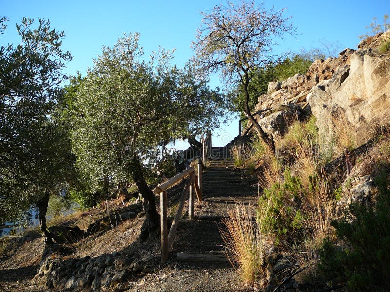 Country path and steps stock photo. Image of forrest - 45686878