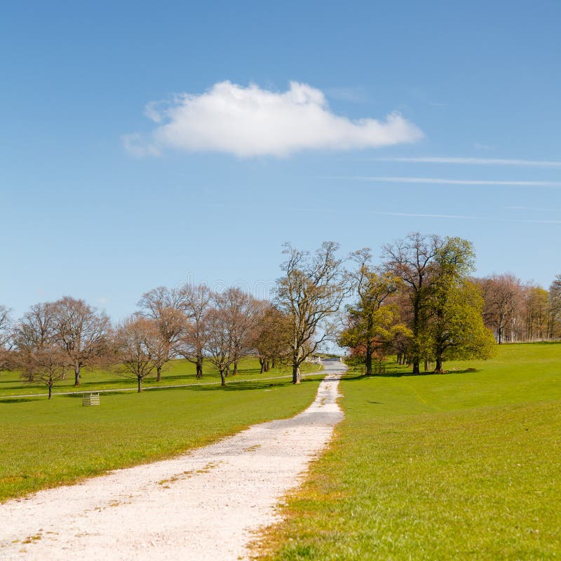 Pathway on the hill stock photo. Image of pathway, alone - 39637326