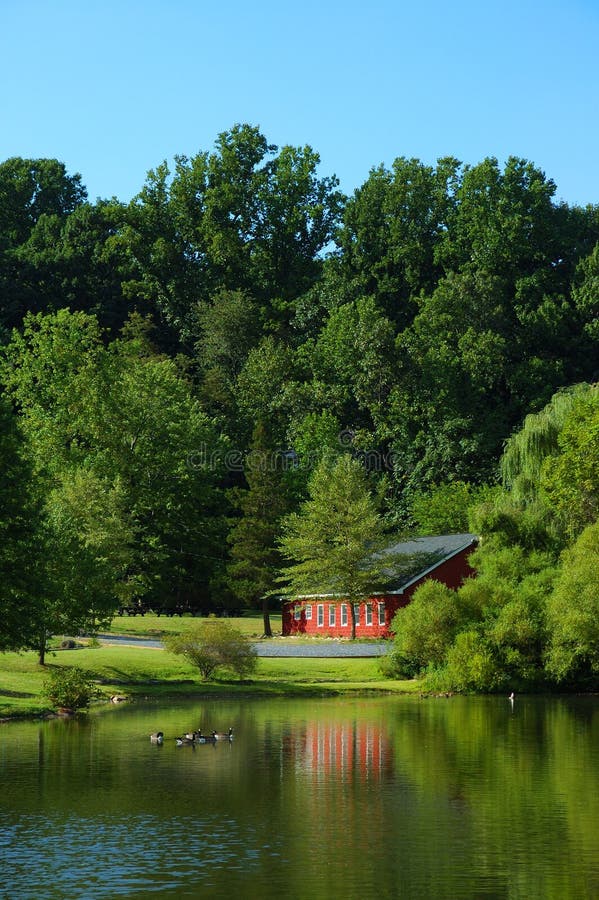Country pond stock image. Image of trees, scenic, shady - 454111