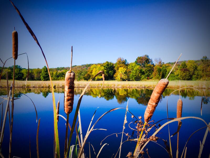 Country Pond stock photo. Image of smills, townships - 43443096