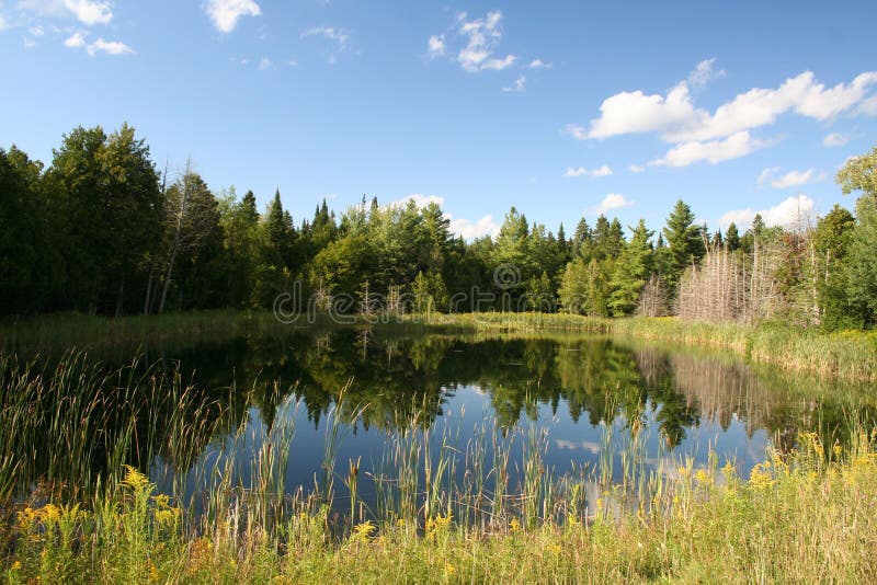 Country Pond stock photo. Image of smills, townships - 43443096
