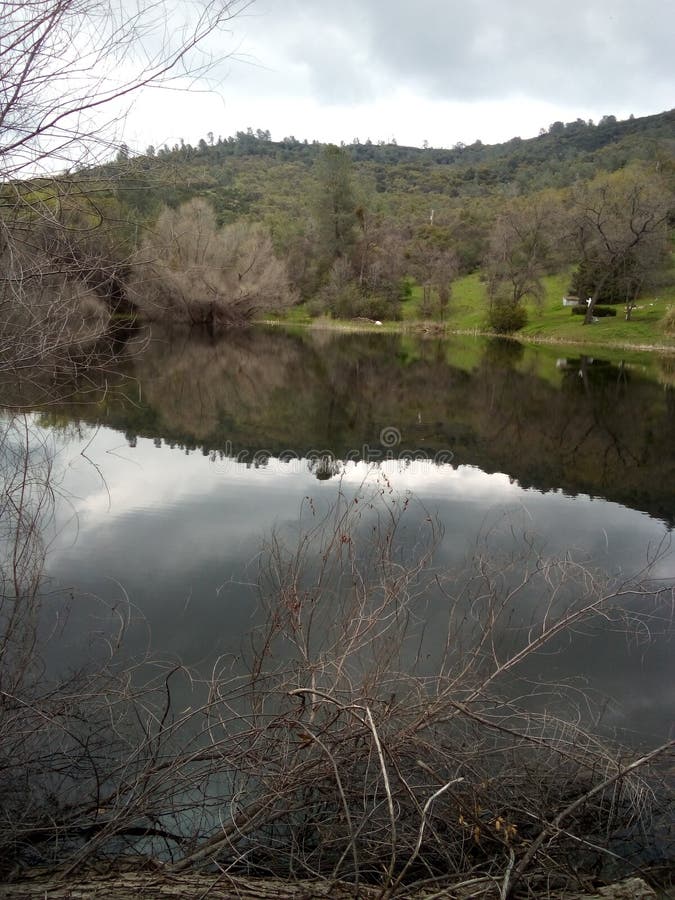 Country pond stock image. Image of ducks, trees, landscape - 89932449