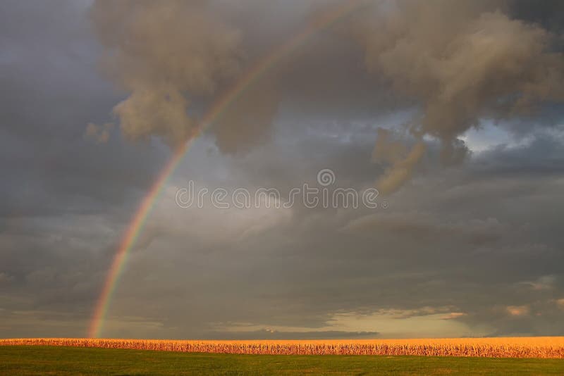 Rainbow stock photo. Image of background, field, meteorology - 5128142