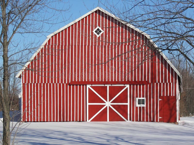 Red Farm Barn with Cows stock photo. Image of green, barn - 11985468